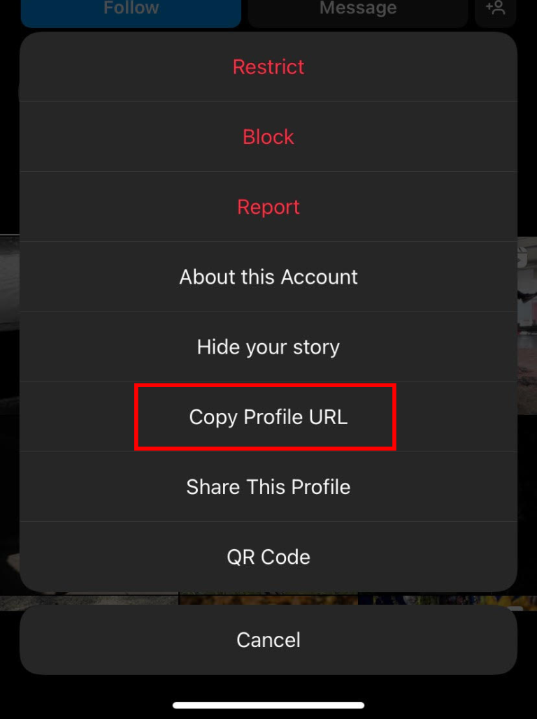 What is My Instagram URL And How to Find It (2026)