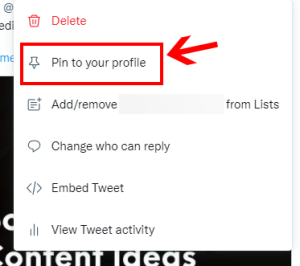 How to Pin a Tweet on Twitter (Ultimate Guide)